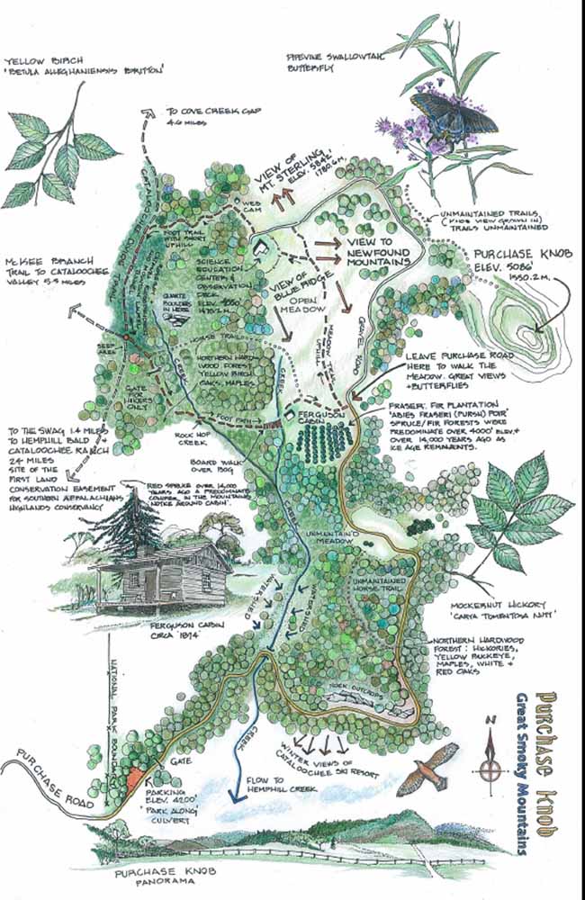 Purchase Knob Trail Map | Western Carolina Botanical Club