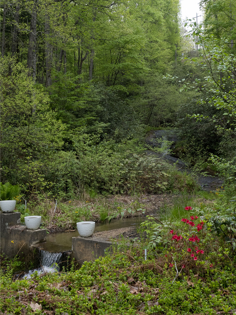 Still Life With Pots | Western Carolina Botanical Club