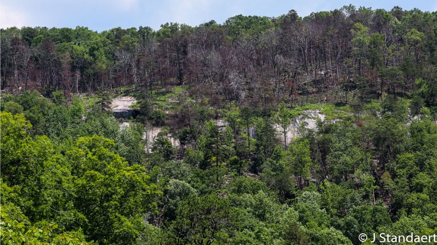 Persimmon Ridge Fire Damage | Western Carolina Botanical Club