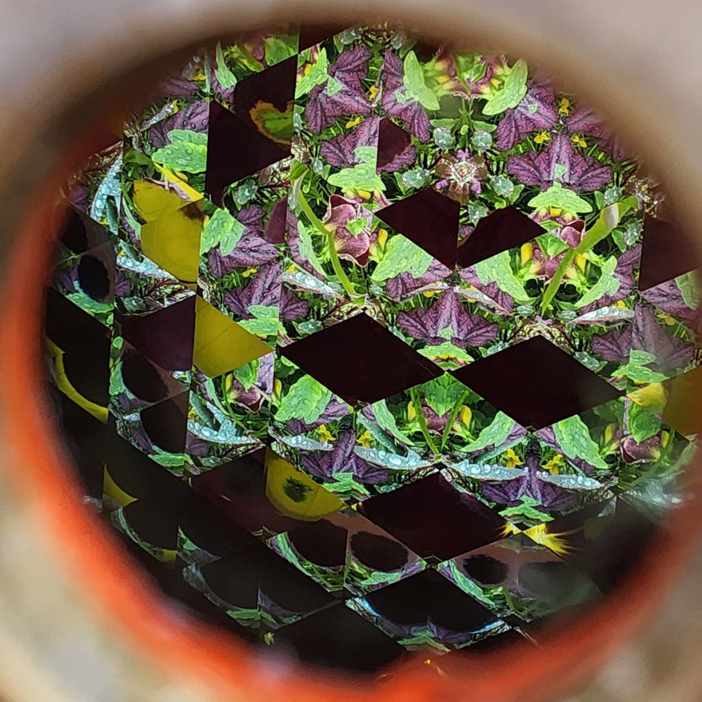Kaleidoscope 2 | Western Carolina Botanical Club